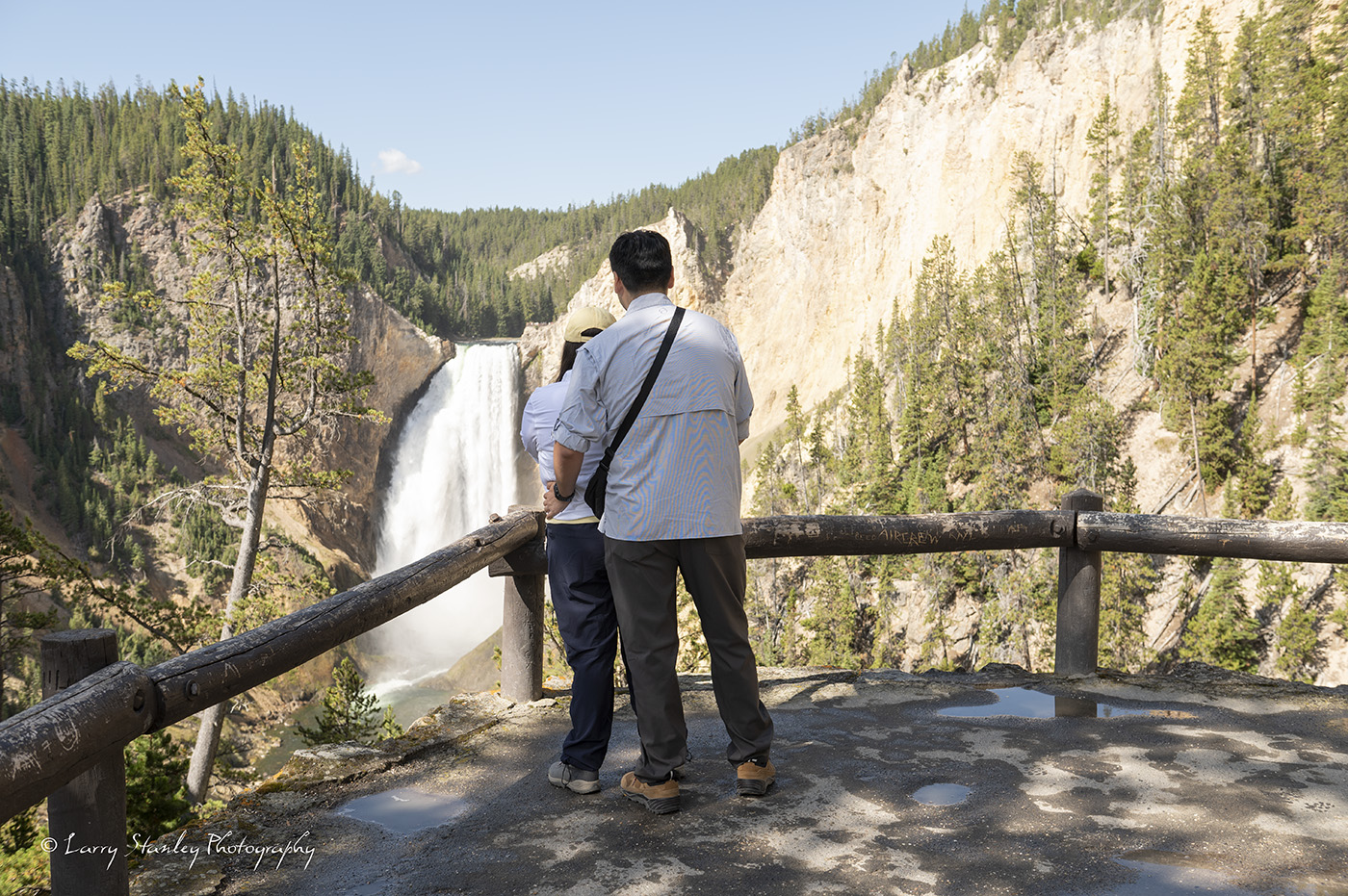 A sweet surprise in Yellowstone - Larry Stanley Photography